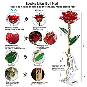 Sinvitron Red Real Rose Flowers, Gold Dipped Rose, Plated Real Rose with Stand & Box, Gift for Mom, Mothers Day, Thanksgiving, Birthday, Anniversary, Wedding, Valentines Day Gifts for her