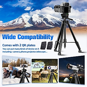 Camera Tripod, 74" DSLR Camera Tripod with 2 QR Plates for Sony/Nikon/Canon, Lightweight Video Tripod Stand for Travelling, Phone Tripod with Fluid Head/Phone Holder/Wireless Remote Max.Load 6kg 175