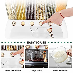 JIAWANSHUN Rice Dispenser Food Storage Container 6 Grids Bulk Rice Organizer Box Countertop Rice Holder Kitchen Dispenser Keeper for Grains Beans Corns