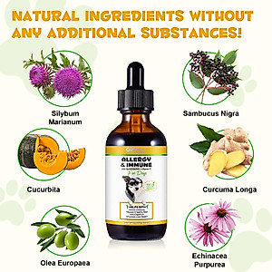 Dog Allergy Relief,Allergy Immunity for Dogs,Dog Allergy Support,Allergy Relief for Dogs Itching Natural Pet Supplement,Daily Vitamins for Healthy Immune System,with Elderberry,Vitamin C,2FL OZ