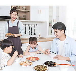 Chanjiso 5 Pairs Metal Chopsticks Dishwasher Safe,Lightweight Easy to Use Metal Chop Stick Utensils.