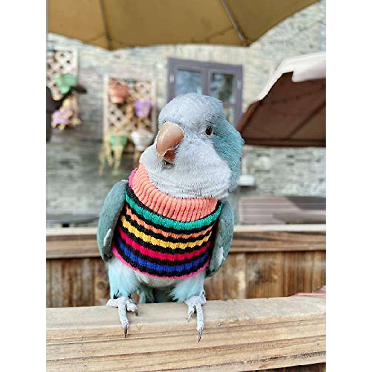 HEZHUO Parrot Bird Supplies, Light Flying Clothes, Warm and Comfortable, Tiger Skin, Green Cheek Parrot, Little Sun Parrot, Monk Parrot, Starling, mynah, Senegal Parrot, Mini Macaw Sweater (4XL)
