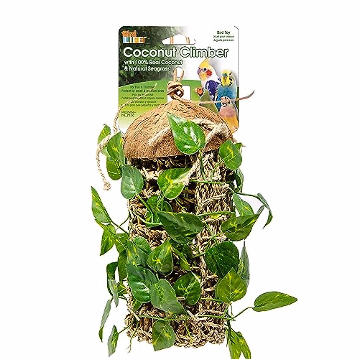 Lizard Lounger Penn-Plax Reptology for Bearded Dragons, Iguanas, and Other Reptiles - Adjustable Hanging (Coconut Climber)