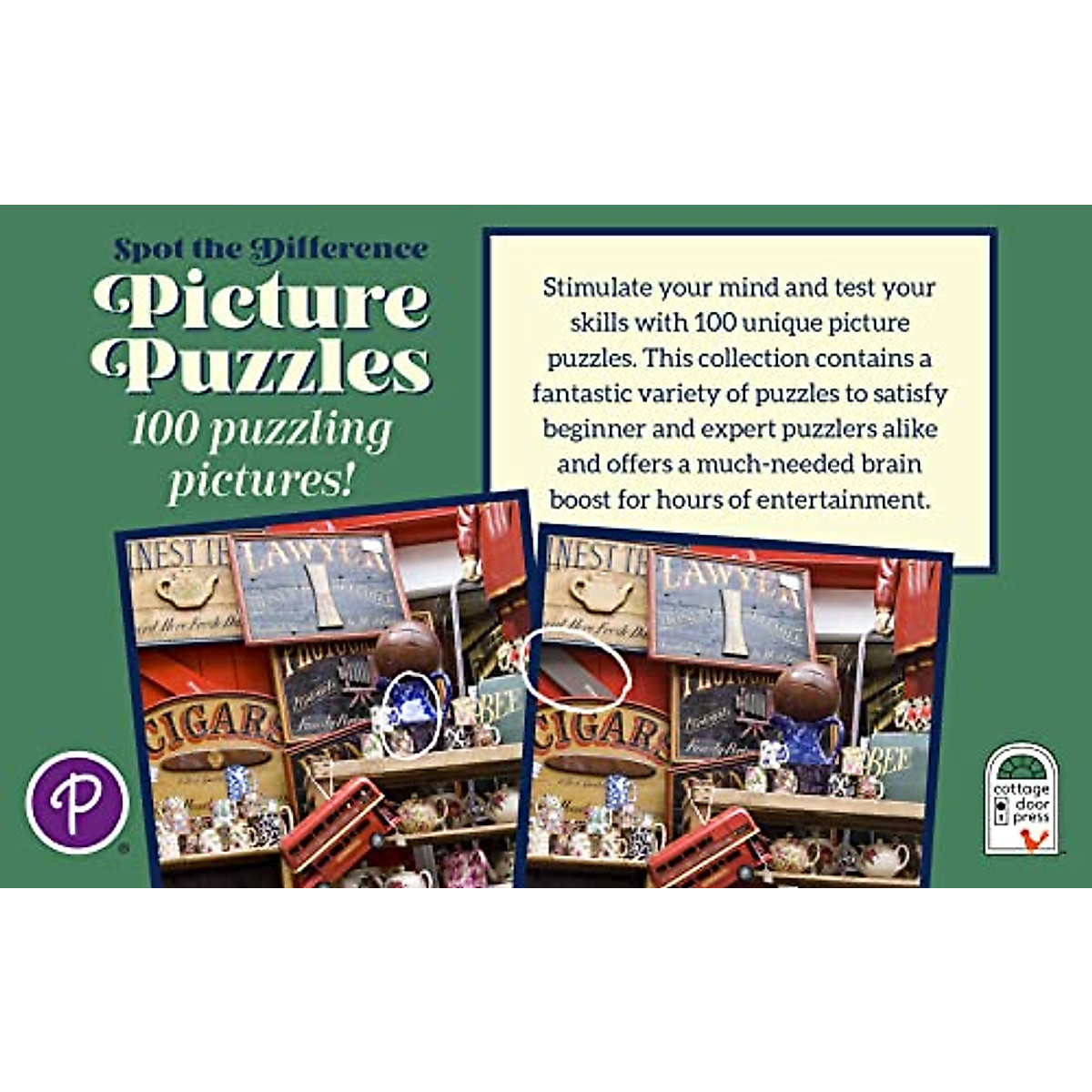 Picture Puzzles: Spot the Difference: More Than 1,000 Differences to Find! Adult Puzzle Book Includes Spiral Bound / Lay Flat Design (Brain Busters)