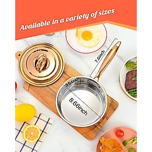 DAEDALUS 3 Quart Uncoated Nonstick Saucepan with Lid, Stainless Steel Pot Triply Hammered Copper for Cooking, Induction Saucepan Cookware for Home Kitchen Restaurant, Dishwasher Oven Safe - Gold