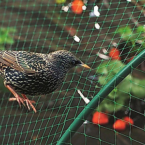 KINGLAKE 33 Ft x 13 Ft Green Garden Bird Netting,Green Garden Plant Netting,Garden Plant Fruits Fencing Mesh