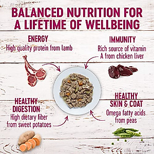 Wellness Petite Entrees Casserole Grain Free Roasted Lamb, Peas & Sweet Potatoes Wet Dog Food, 3 oz, Case of 12