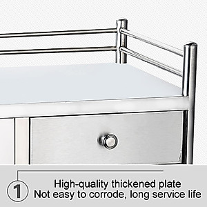 Stainless Steel Medical Cart, Lab Serving Cart, Utility Cart, with Two Drawers for Lab Equipment Use Grade Stainless Steel Utility Services (2 Shelves/ 2 Drawer) ( Size : 60x40cm(23.6x15.7in) )