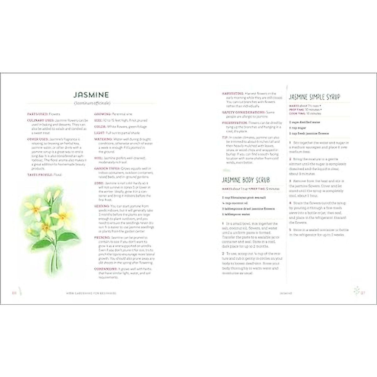 Herb Gardening for Beginners: A Simple Guide to Growing & Using Culinary and Medicinal Herbs at Home