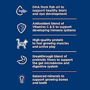 Hill's Science Diet Dry Cat Food, Kitten, Chicken Recipe, 3.5 lb. Bag (Packaging May Vary)