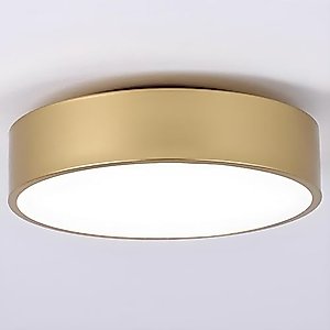 erpymi Modern Gold Flush Mount Ceiling Light, 2-Lights Round Ceiling Light, Minimalistic Ceiling Lamp Acrylic Shade Lighting Fixture for Bedroom Laundry Room Bathroom Hallway(11.8 Inch)