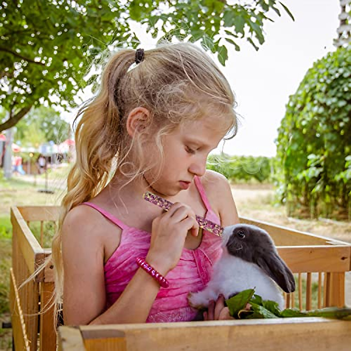 Sofier Timothy Hay Treats Rabbit Toys Bunny Toys Guinea Pig Toys Hamster Toys Natural Chews for Teeth Handmade Rabbit Chews and Treats Chinchilla Rat Gerbil