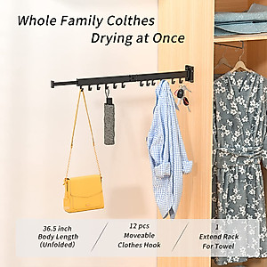 PLKO Retractable Clothes Drying Rack,Wall Mounted Clothes Hangers，Space Saver Laundry Drying Rack for Balcony,Laundry,Bathroom,Patio and Bedroom (2-Pole Black)