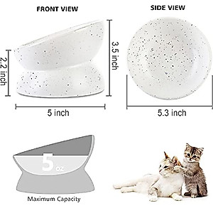 Elevated Cat Bowls Whisker Fatigue,Tilted Raised Cat Food Bowls,Ceramic Cat Bowl Whisker Friendly for Flat Faced Cats and Small Dogs,Anti-Vomiting and Reduce Neck Burden,Dishwasher and Microwave Safe