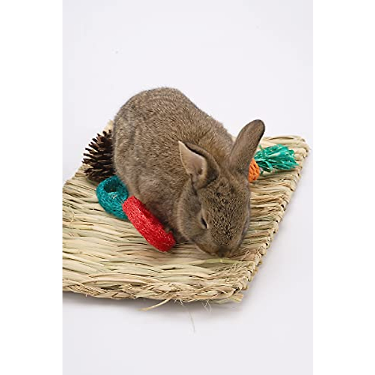 PStarDMoon Bunny Grass Mat with Small Animal Chew Toys Woven Bed Mat for Small Animals Rabbit Bedding Nest Chew Toy Bed Play Toy for Rabbits Chinchilla Hamsters Guinea Pigs Gerbils Groundhog…