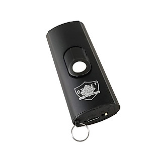 Streetwise Mini Keychain Stun Gun 22,000,000 Volts (Small Size, BIG Power) BLACK