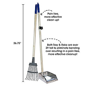 Spotty Wood Handle Pooper Scooper Durable Solid Metal Poop Tray with Rake 36.75" Long Handled Scoop | Great for Large or Small Dogs | No Assembly Required | Better for The Environment Than Plastic