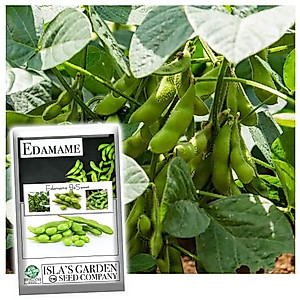 " BeSweet " Edamame Seeds for Planting, 25+ Heirloom Seeds Per Packet, (Isla's Garden Seeds), Non GMO Seeds, Botanical Name: Soybean (Glycine max (L.), Great Home Garden Gift