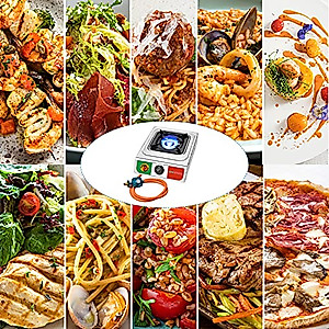 Vivicreate Camping 10000 BTU 1 burner stainless steel panel auto ignition Propane Gas Outdoor Garden Fishing Hiking Camp Restaurant Stove Burner