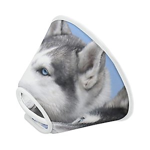 Siberian Huskies Soft Dog Cone Collars Protective Adjustable Cat Recovery Collar to Stop Licking L