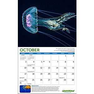 Greenpeace Wall Calendar 2021, Monthly January-December 15'' x 12"