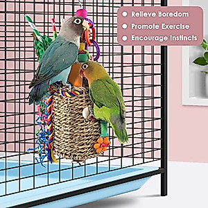 KATUMO Bird Foraging Toys, Seagrass Basket Bird Toy with Array of Chewable Parrot Toys for Small Medium Parrot Birds