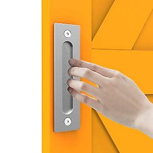 QINAIXQM 12''/30CM Sliding Barn Door Handle Double Sided Pull and Flush Barn Door Embedded Invisible Stainless Steel