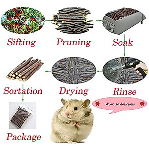 Z-TON Apple Sticks Pet Chew Toys for Chinchillas Guinea Pigs Rabbits Small Animals (100g)