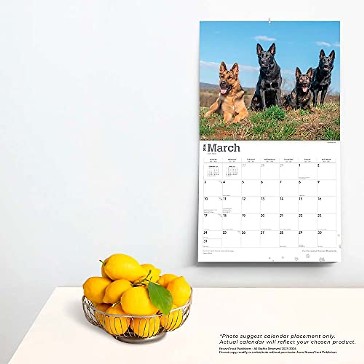 For the Love of German Shepherds | 2024 14 x 24 Inch Monthly Deluxe Wall Calendar | Foil Stamped Cover | BrownTrout | Animal Dog Breeds