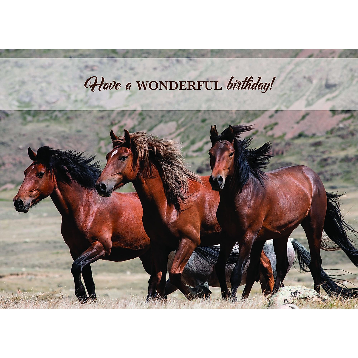 CPG Card-Boxed-Shared Blessings-Birthday Wild Horses (Box of 12)