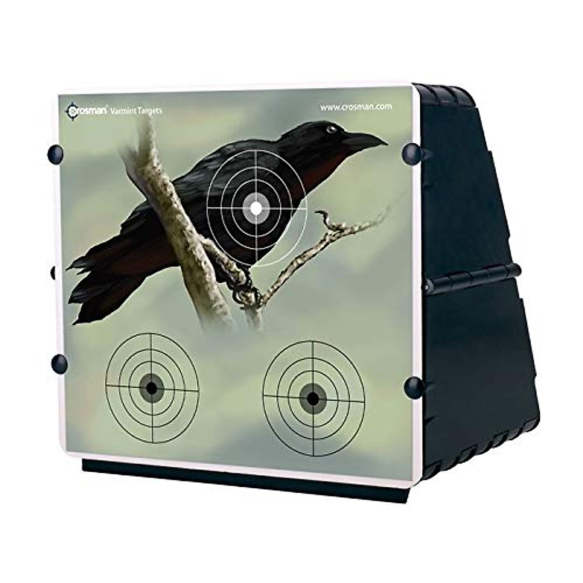 Crosman 1077 Air Rifle (Rifle + Pellets, CO2, Pellgun Oil and Target Combo)