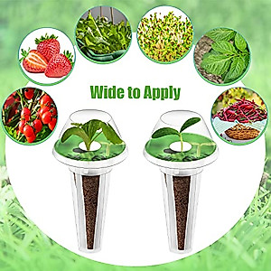 320 Pcs Hydroponic Growing Kit Includes 80 Grow Sponges Seedling Starter Sponges, 80 Grow Baskets, 80 Grow Domes and 80 Pod Labels Hydroponics Garden Accessories for Indoor Plant Herb Growing System