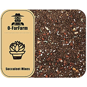 O-FarFarm Succulent Soil Potting Mix 1.1 LBS, Optimized PH Fast Draining with Added Nutrients, Perfect for Small Succulent Pots