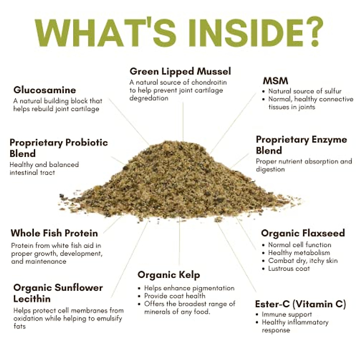 Wholistic Pet Organics - Dog Joint Supplement: Joint Mobility with Green Lipped Mussel - 1 Lb - Dogs Hip and Joint Support Supplement - Glucosamine Chondroitin for Dogs with MSM, Vitamins & Minerals