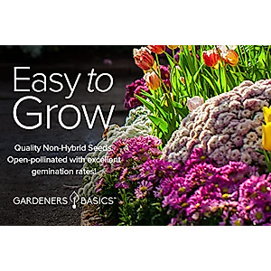 Flower Garden Seeds for Planting Outdoors Flower Seeds (5 Variety Pack) Daisy, Marigold, Cosmos, Sunflower, Zinnia Varieties for Bees, Pollinators Wildflower Seed by Gardeners Basics