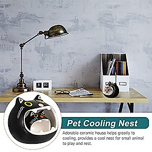 balacoo House- Plate Hedgehog/Chinchilla Cave Hideout Hamster Cat Pig Cartoon Cage Cooling Sand Specter with Guinea Pig/Ceramic and Supplies Adorable Summer Mini Pet Black, Tiny House Accessories