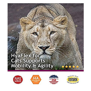 Cat Joint Supplement, Hyalogic Hyaluronic Acid Cat Supplements– 30-60 Day Supply, 1oz HA, Cartilage Supplement, Hip & Joint Supplement - Cat Health Supplies, W/ No Fuss Liquid Dropper
