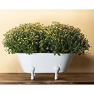 Foreside Home & Garden White Black Distressed Rim Enamel Decorative Bathtub