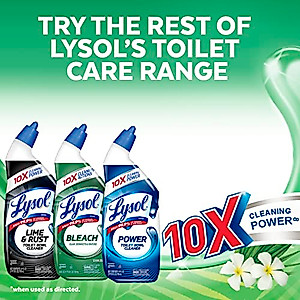 Lysol Toilet Bowl Cleaner Gel, For Cleaning and Disinfecting, Stain Removal, Forest Rain Scent, 24oz (Pack of 2)