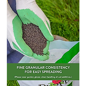 Burpee Natural Purpose Granular 4-Lb Organic Food for Growing Strong Plants | Good for Vegetable Garden, Flower Garden & Seed Starting, 4 lb, 4lb. Bag