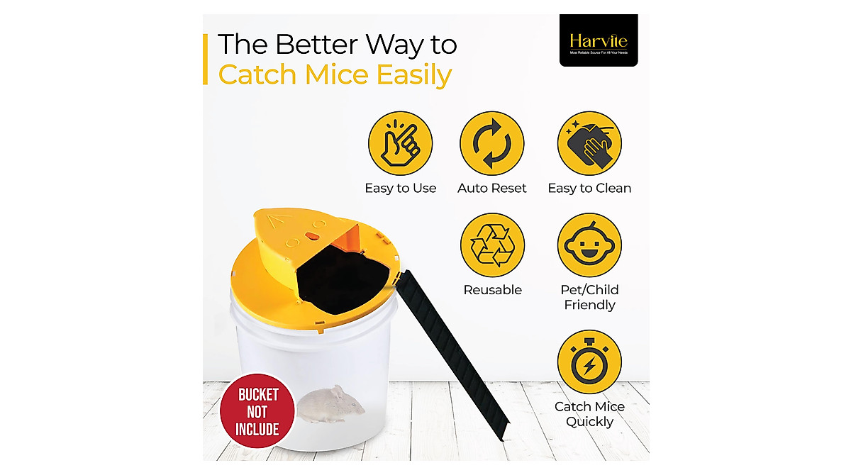 Second Generation, Flip n Slide Bucket Lid Mouse Trap - Indoor Outdoor ...