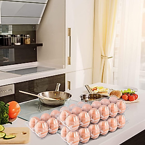 60 Pack Plastic Egg Cartons Cheap Bulk One Dozen Clear Empty Egg Cartons for Chicken Eggs, Reusable Egg Carton for Home Ranch Chicken Farm, Commercial Business Market Display, 2x6 Grids, Large