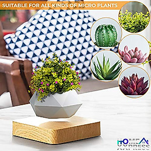HOMEXXPRESS Levitating Plant- Floating Plant Pot - Magnetic Planter 360-Degree Rotation - Home Desk Office Kitchen Indoor Decor - Succulent Bonsai Air Plant - Maceta Flotante (Light Brown)