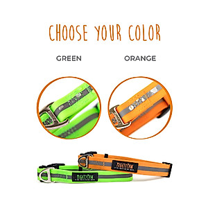 Mighty Paw Waterproof Dog Collar - Smell-Proof Active Gear - Reflective Stripe Coated Nylon Webbing - Dog Swim Collar - Smell Resistant Dog Collar - Dog Collar for All Dog Breeds - (Orange, Medium)