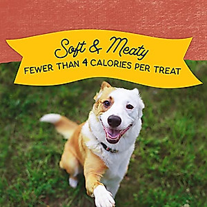 Natural Balance Limited Ingredient Mini-Rewards Salmon Grain-Free Dog Training Treats for Dogs | 5.3-oz. Canister