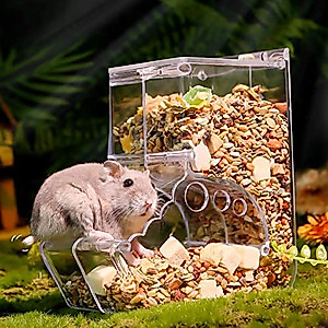 GLOGLOW Hamster Food Dispenser, Hamster Feeder Transparent Toxic Free Prevent Knock Over Automatic for Sugar Glider