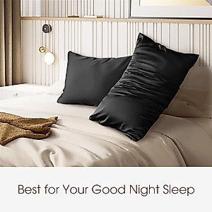 WLOSJ 100% Silk Pillow Cases 2 Pack Queen Size Mulberry Silk Pillowcase for Hair and Skin Set of 2 Highest Grade 6A Silk with Hidden Zipper, Black