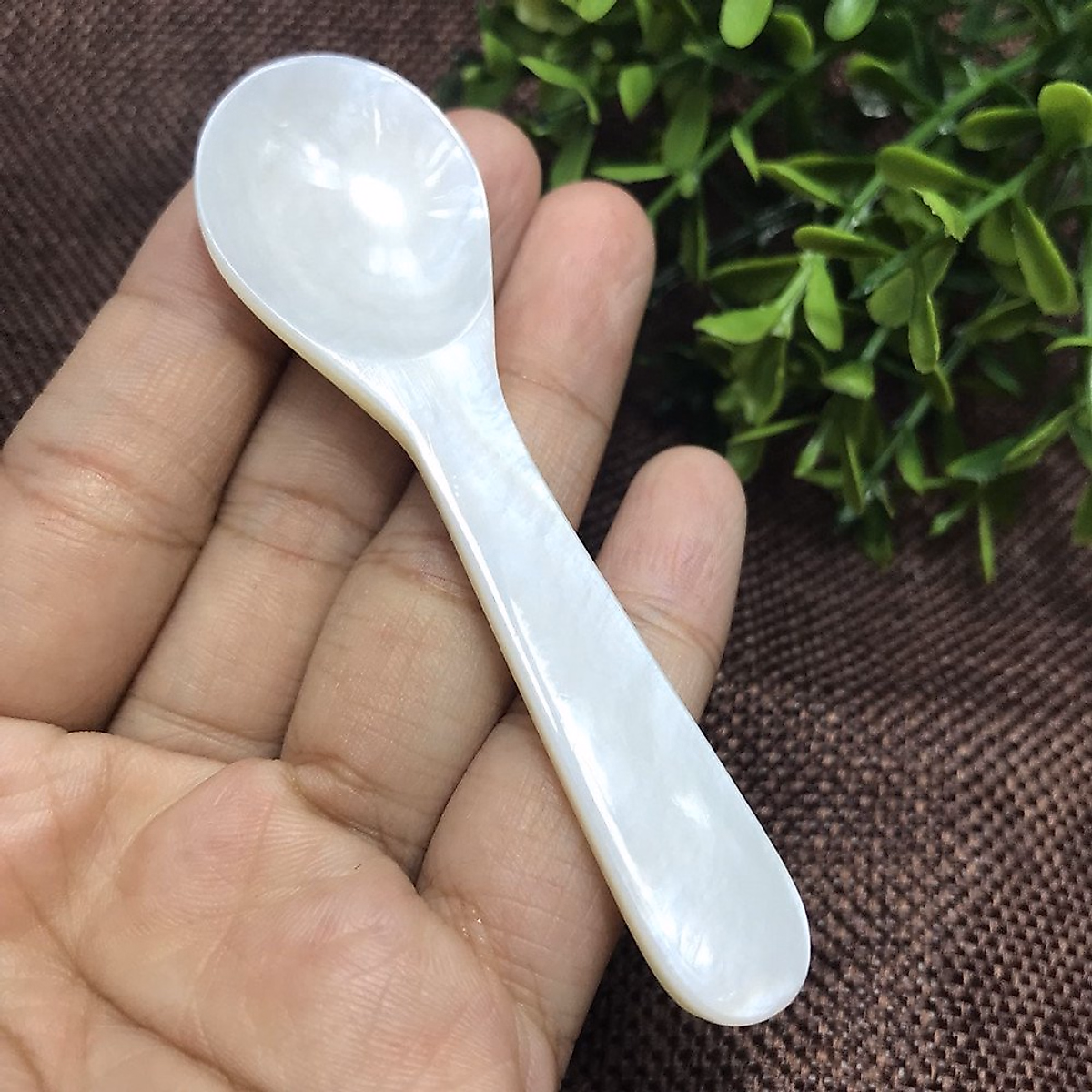 Caviar Spoons - EvaGO Mother of Pearl MOP Caviar Spoon W Round Handle 3.55 inch, 2 pack
