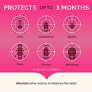 Hot Shot Ant & Roach Plus Germ Killer, Fresh Floral Scent Aerosol, 17.5-Ounce, 12-Pack