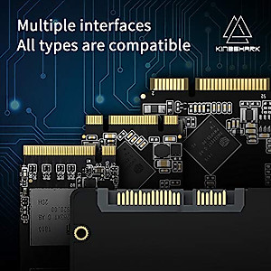 Kingshark Gamer SSD M.2 2242 256GB Internal Ngff SSD 42MM SATA III 6Gb/s (256GB, M.2 2242)